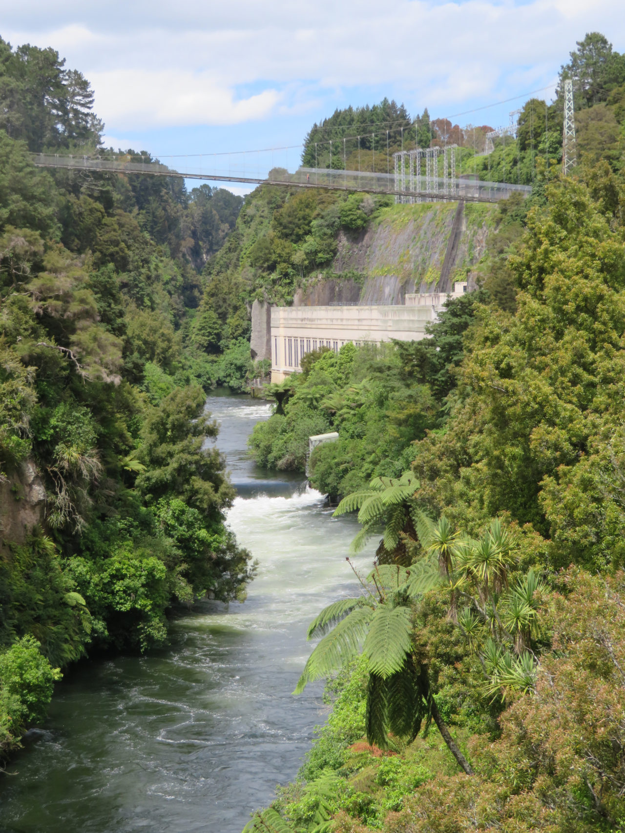 Raukawa and the Crown - Te Tai Whakaea
